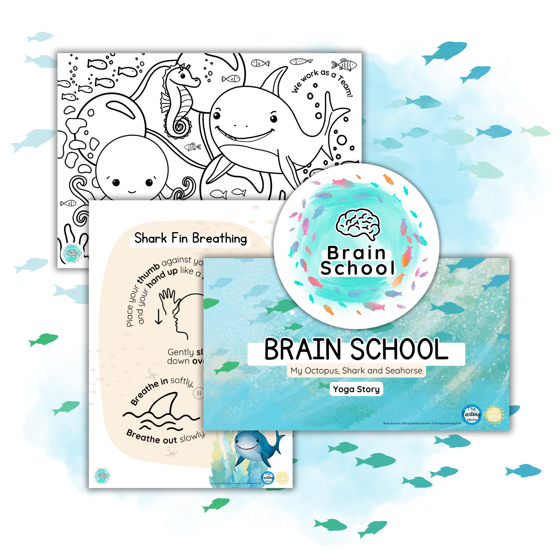 Brain School Learning – Developing Minds, Deepening Understanding ...
